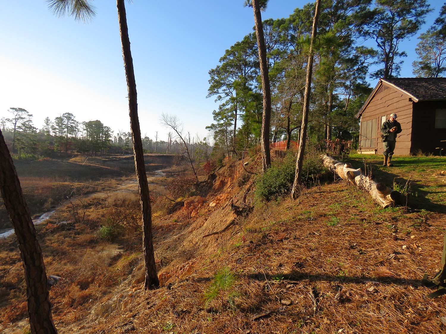 Bastrop State Park Restoration - Halff