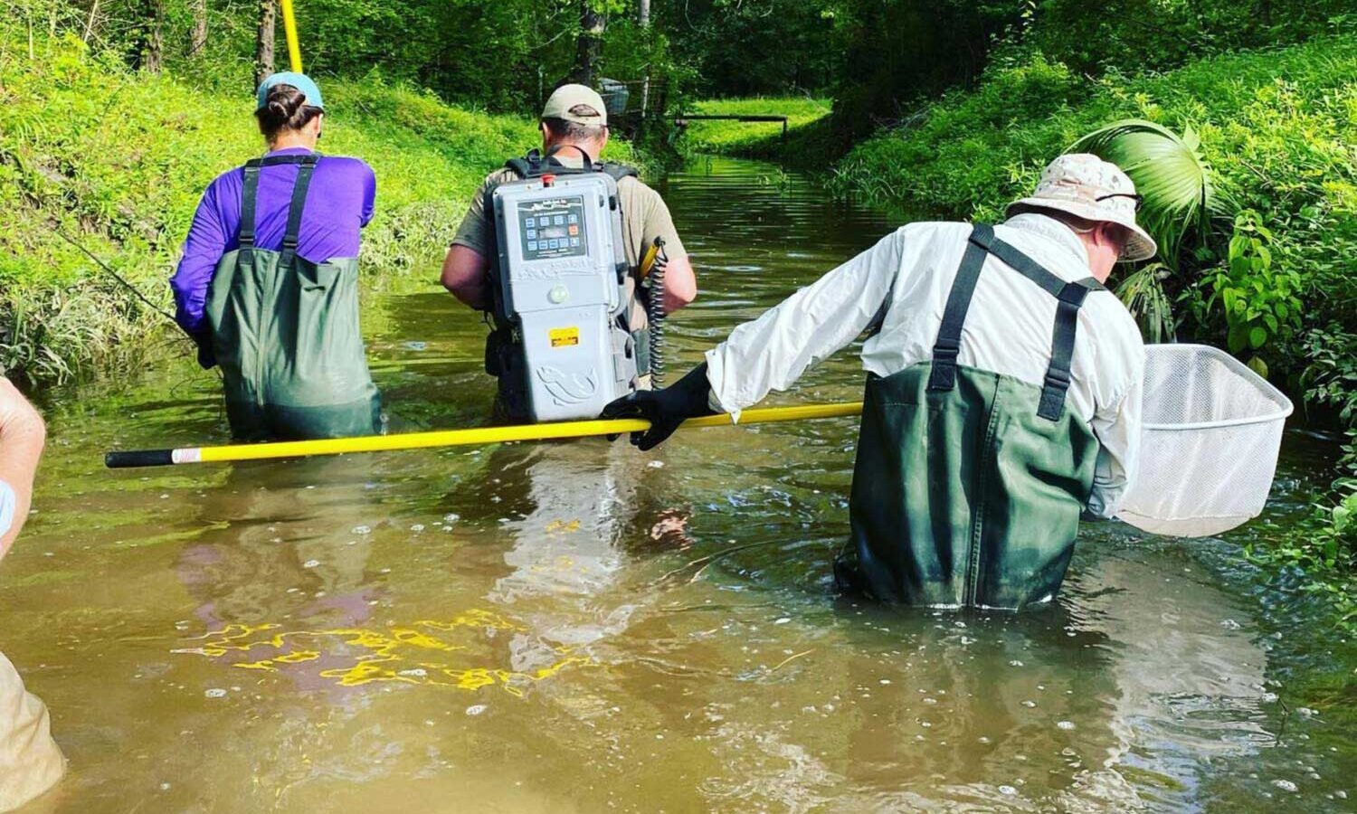 HCFCD Cedar Bayou Wetland/ Environmental Constraints Analysis - Halff