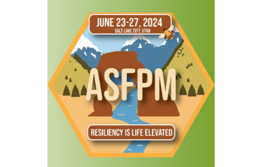 News & Insights - Halff